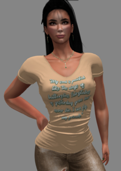 Second Life Marketplace Wings